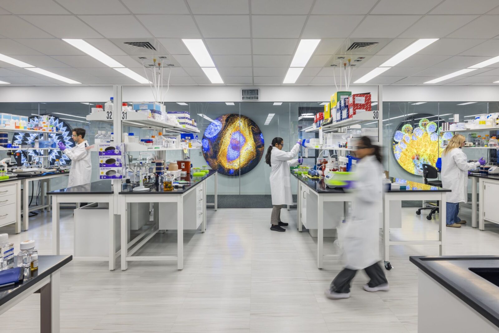 Asimov Launches Stable AAV Producer Cell Lines for Viral Vector ...
